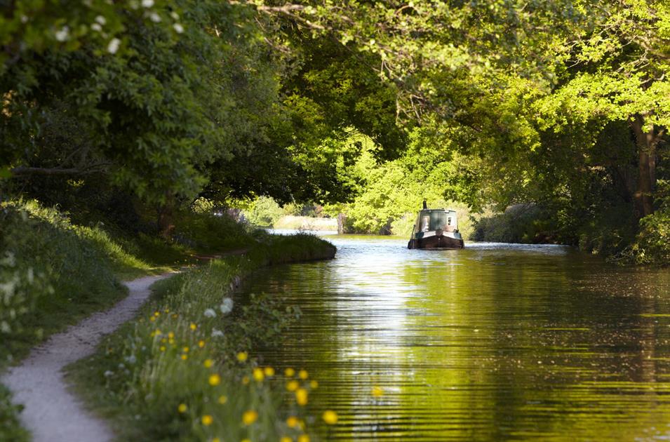 How narrowboating can help you live a more healthy life